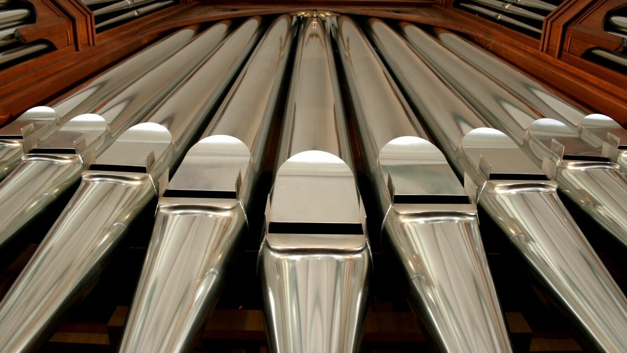 Die „Königin der Instrumente“ in Kursen und Konzerten erleben